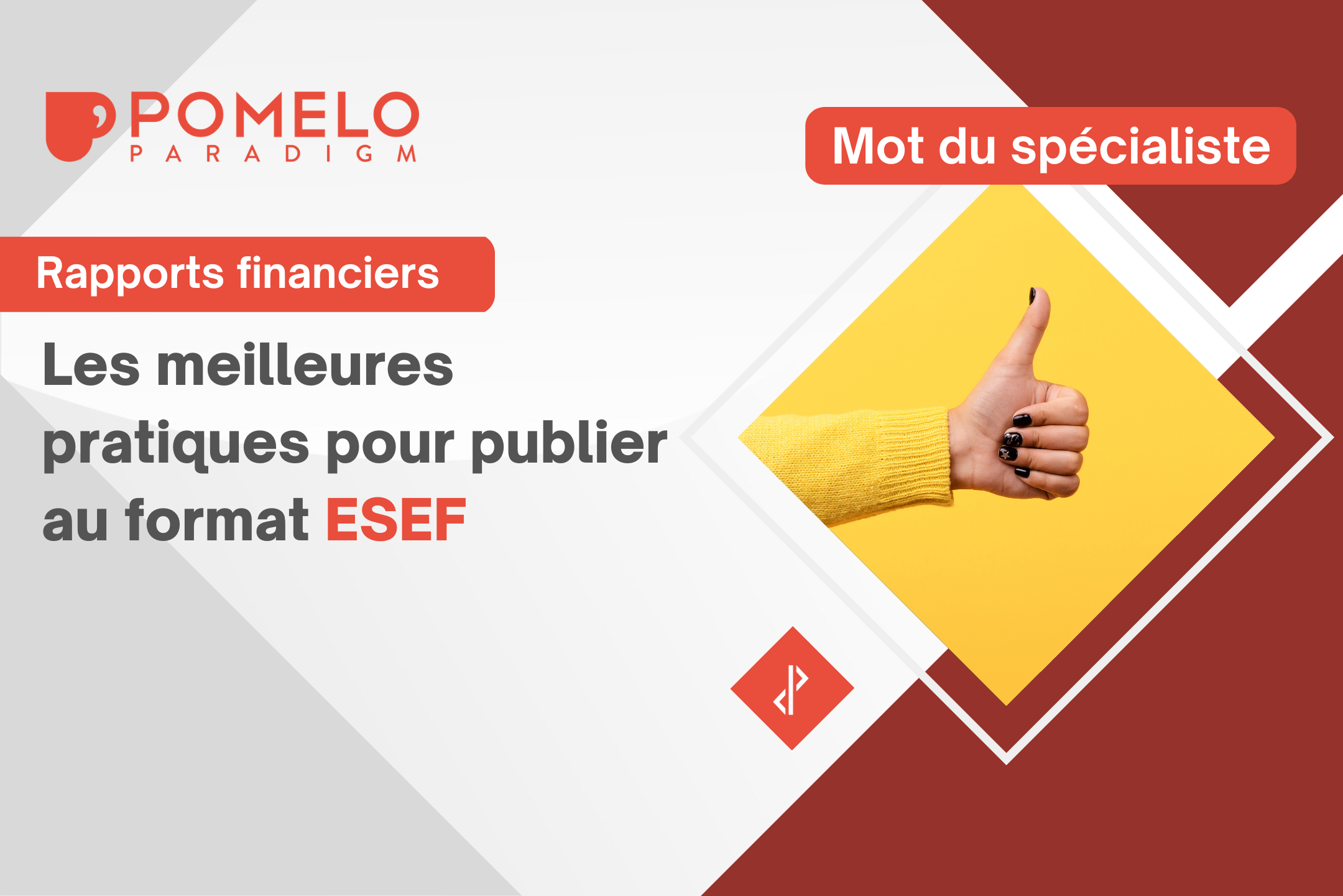 Les meilleures pratiques pour publier au format ESEF - Pomelo-Paradigm