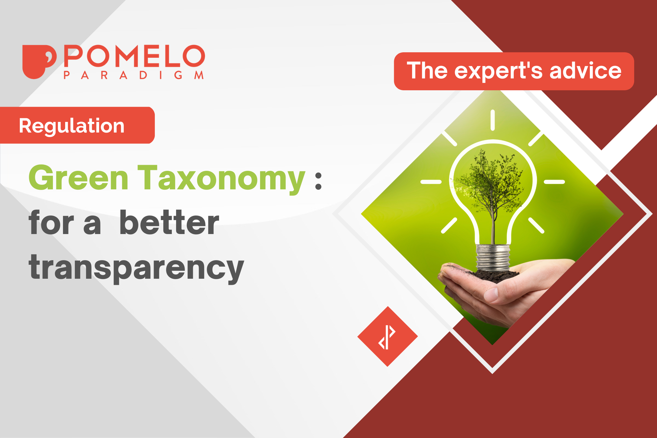 Green Taxonomy : for a better transparency - Pomelo-Paradigm