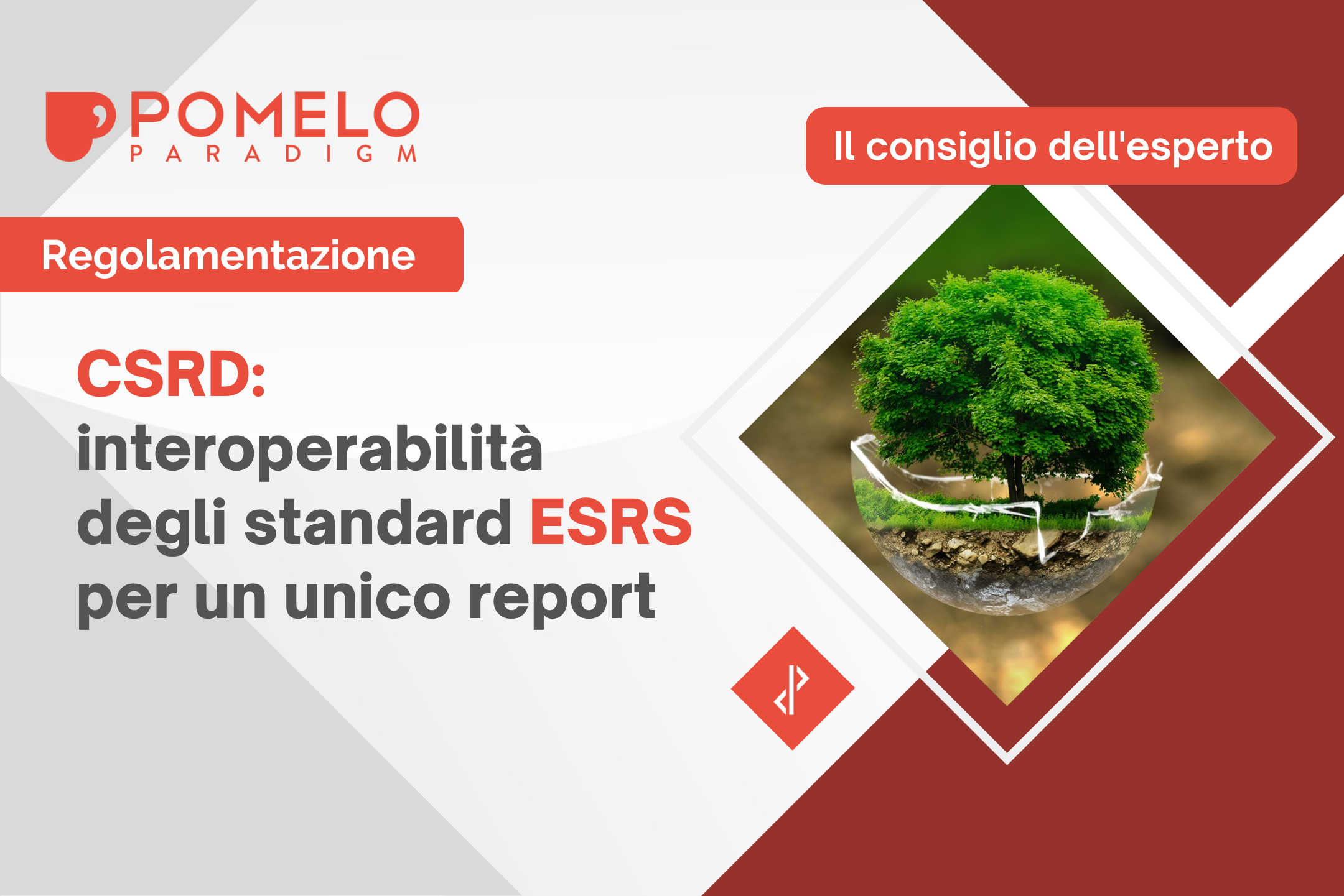 CSRD : interoperabilità degli standard ESRS per un unico report ...