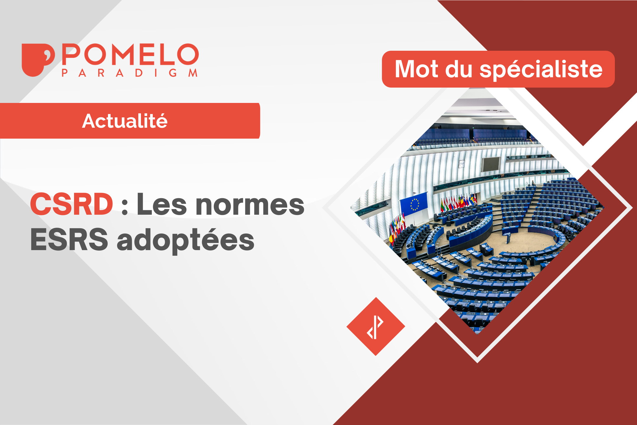 CSRD : les normes ESRS définitivement adoptées - Pomelo-Paradigm