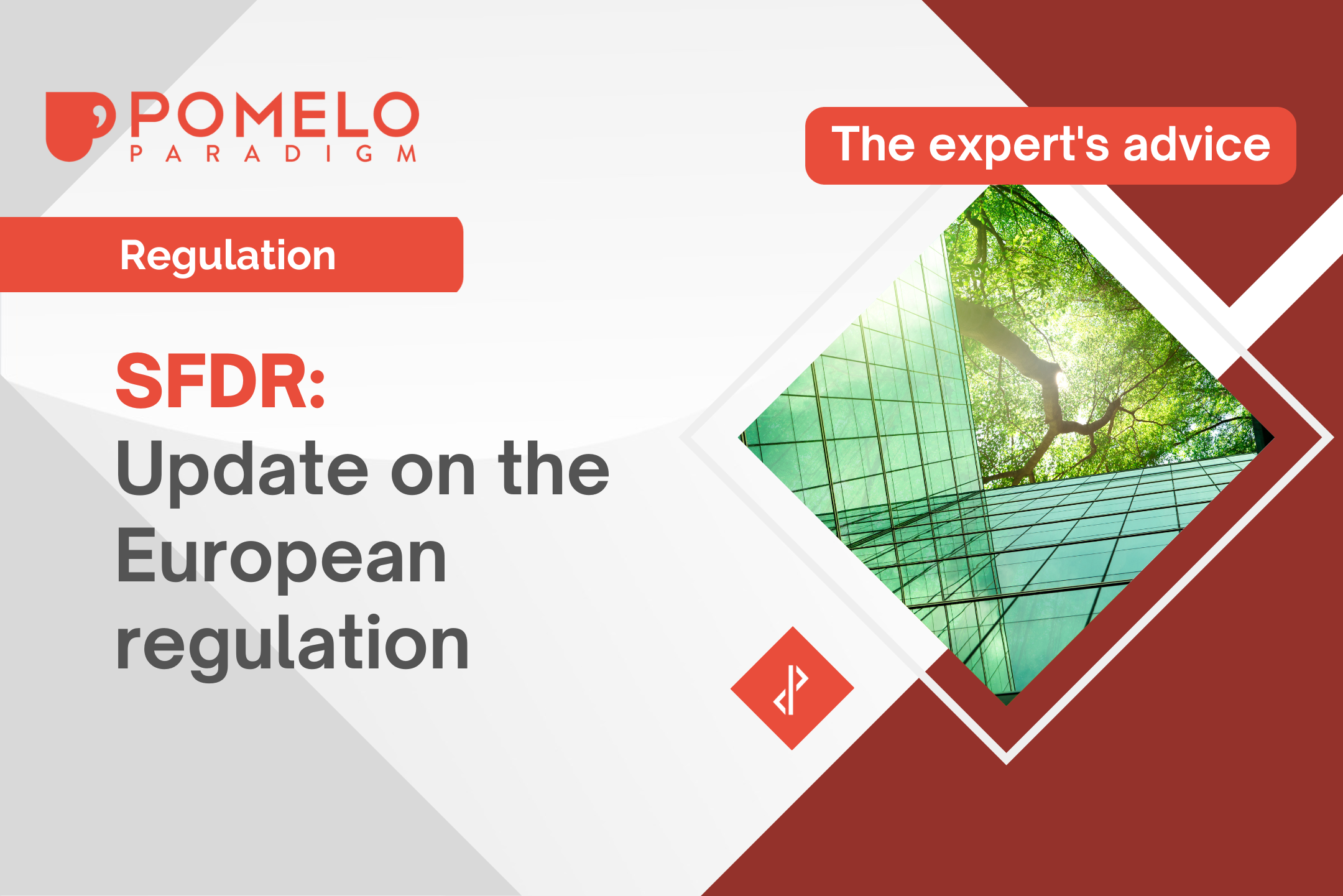 SFDR: update on the European regulation - Pomelo-Paradigm