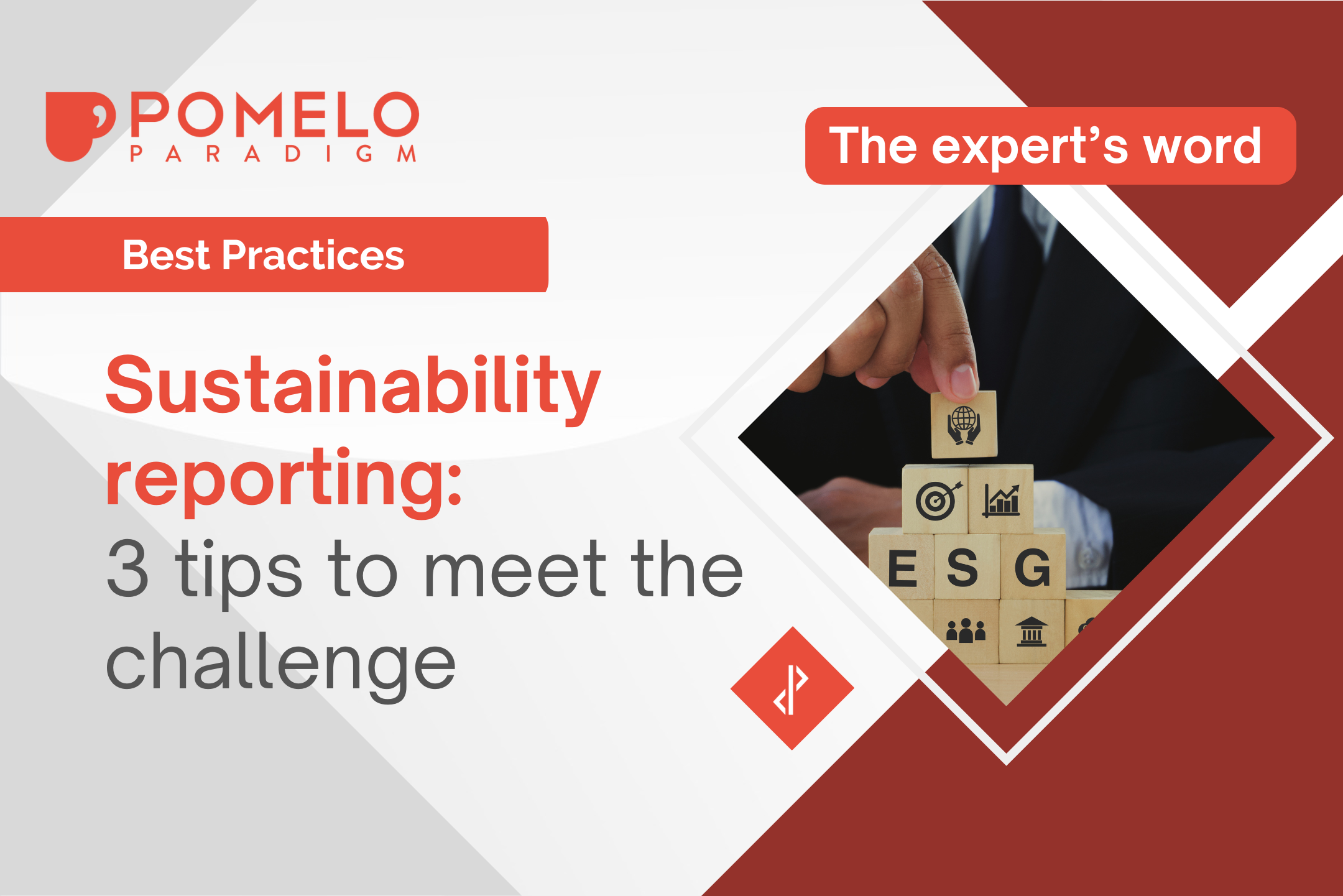 Sustainability reporting: 3 tips to meet the challenge - Pomelo-Paradigm